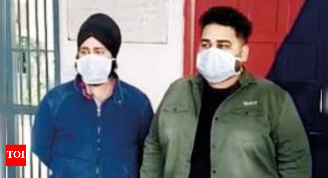 Brother duo who bashed up traffic cop arrested in Ludhiana | Ludhiana ...