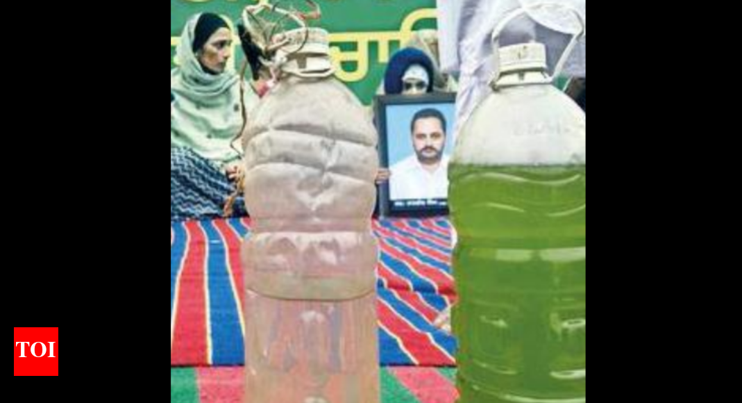 Zira: Punjab and Haryana HC-formed panel chief to visit Zira area today ...