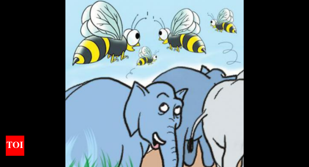 Bee: Bee-buzz & sound amplifiers in unique bid to ward off elephants in ...