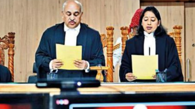 Rajasthan HC gets 9 more judges,including second judge couple | Jodhpur ...