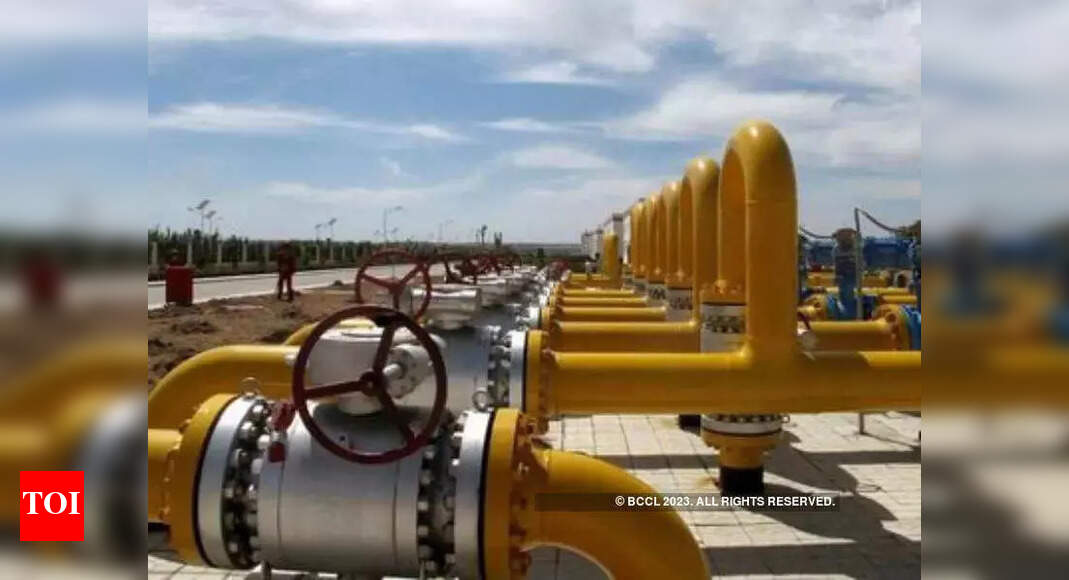 City gas distribution networks to expand, making gas accessible to 70% ...