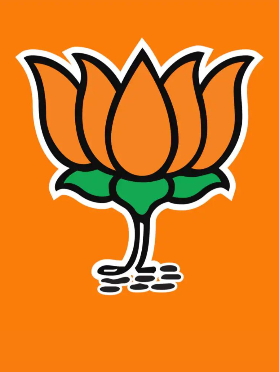 BJP national presidents over the years | Times of India