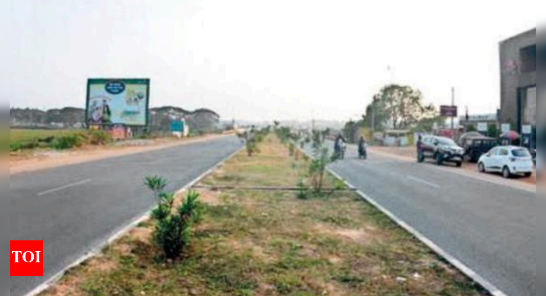Cross highway stretch yourself and see if underpass is needed: Orissa HC to NHAI official ...