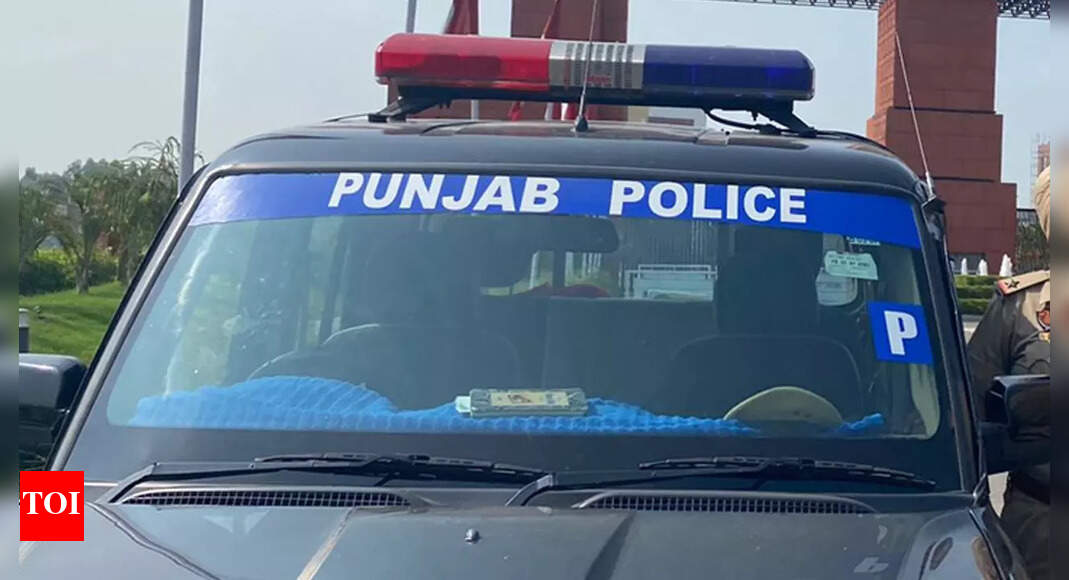 Dgp: Punjab police to soon have 14 DGP-rank officers | Chandigarh News ...