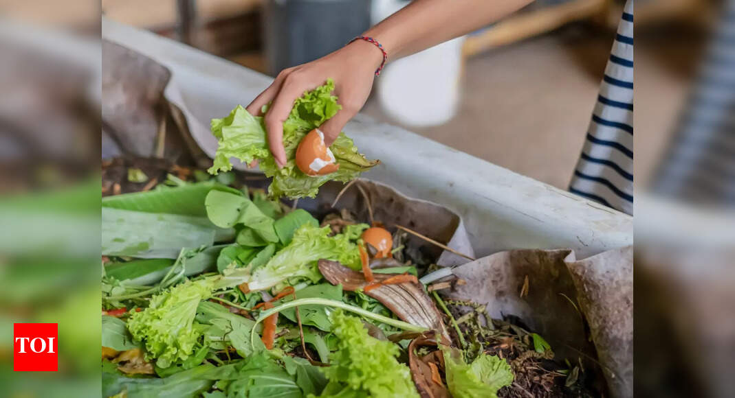 Food waste crisis in India: Why it is crucial to put farm and food ...