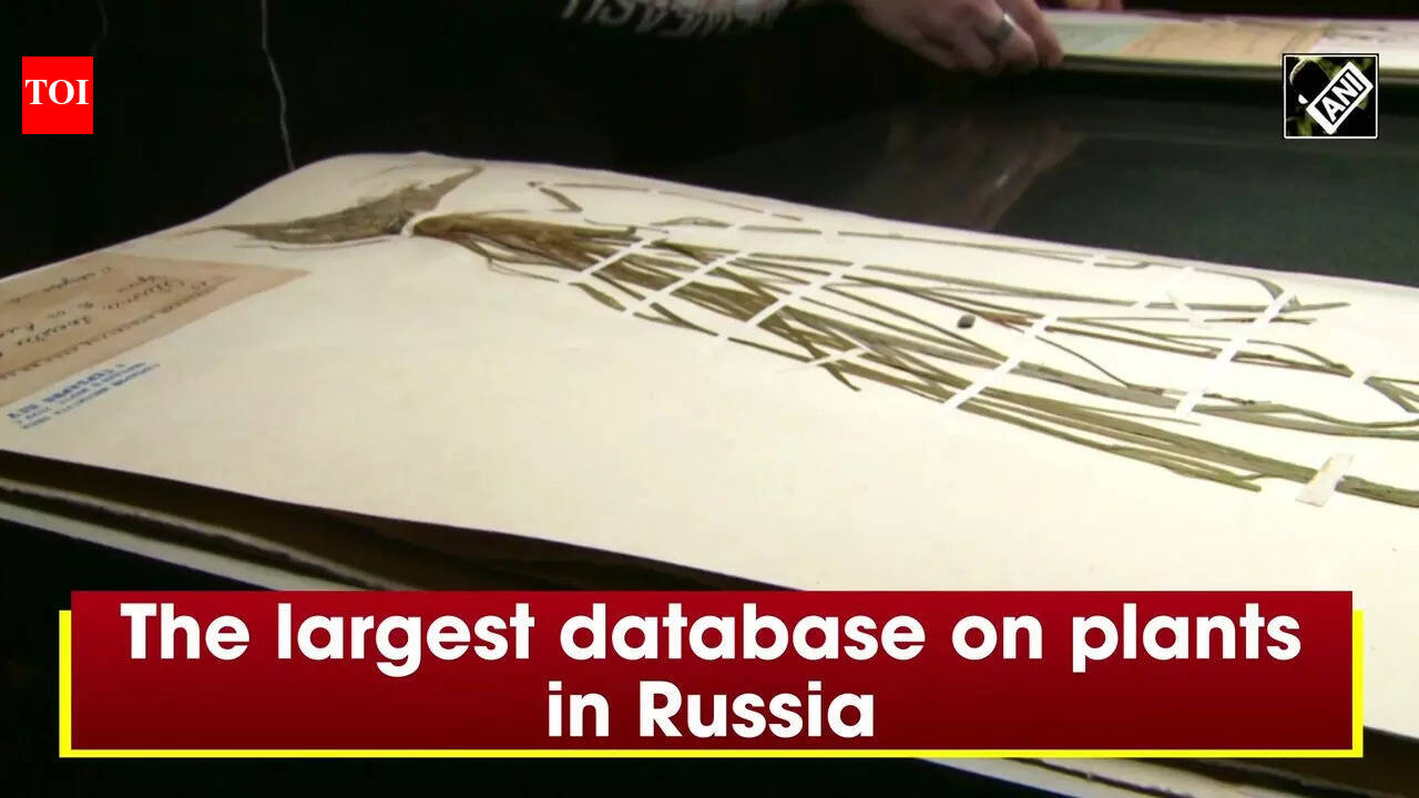 The largest database on plants in Russia