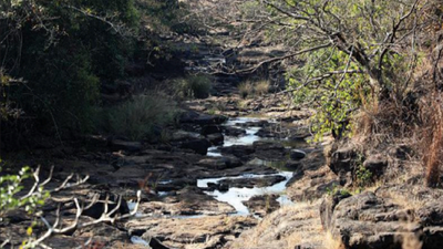 Diversion works won’t need forest nod: Karnataka to Centre | Goa News ...