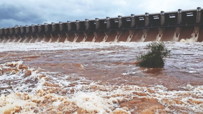 Hydrology Experts To Study Almatti Effect On Floods In Kolhapur ...