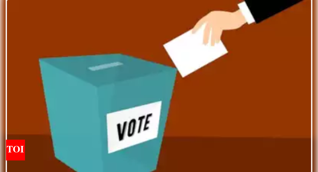 Chinna Thadagam village panchayat president election: Votes to be ...