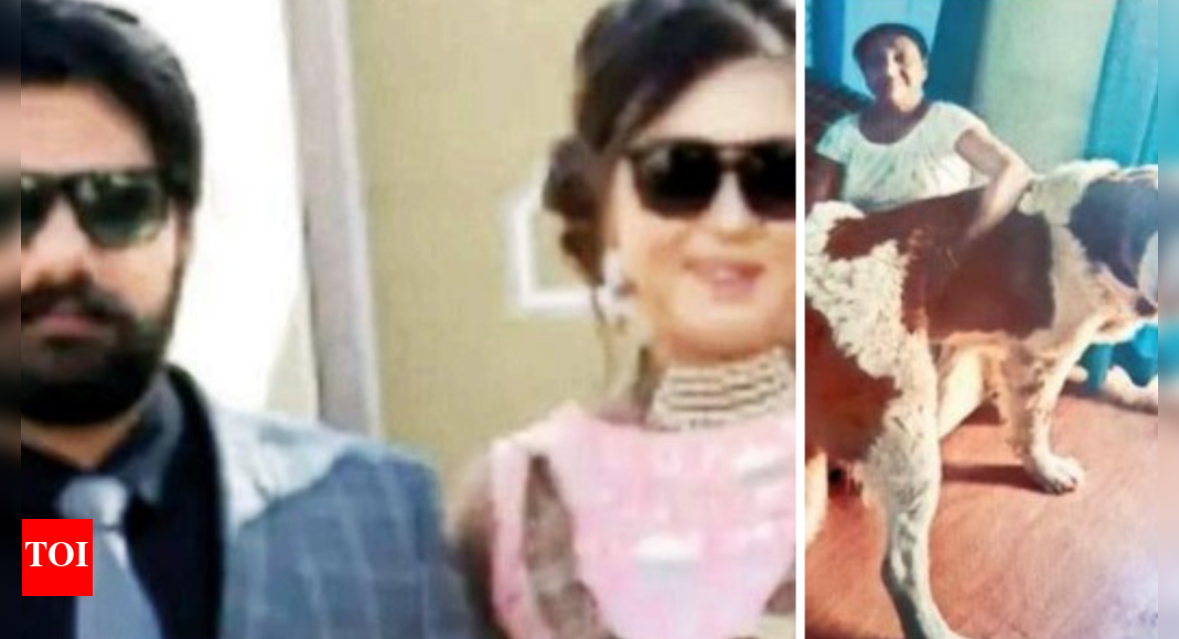 Death of pet dog unearths owner's mysterious murder in Bikaner | Jaipur ...