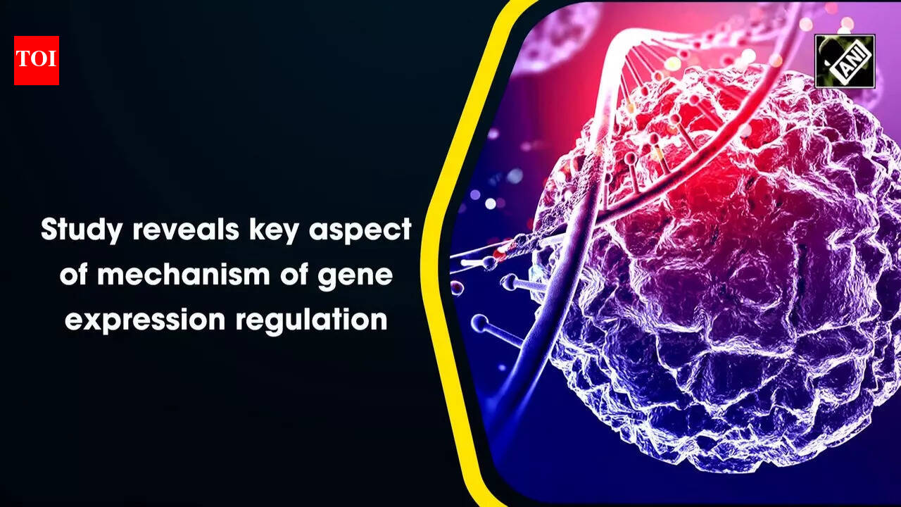 Study reveals key aspect of mechanism of gene expression regulation