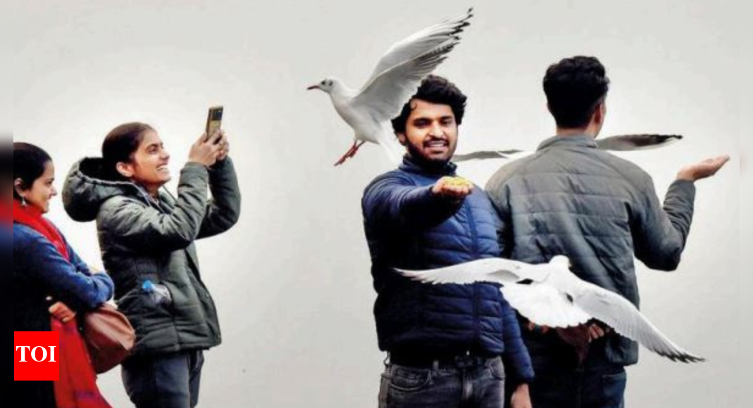 Minimum temperature sees 4 degree Celsius drop in Delhi, to go up again ...