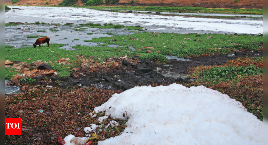 Maharashtra: 55 polluted river stretches in Maharashtra, highest in ...