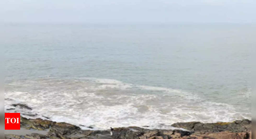 Pilot project to improve Sal water in 9 km stretch launched in Goa ...
