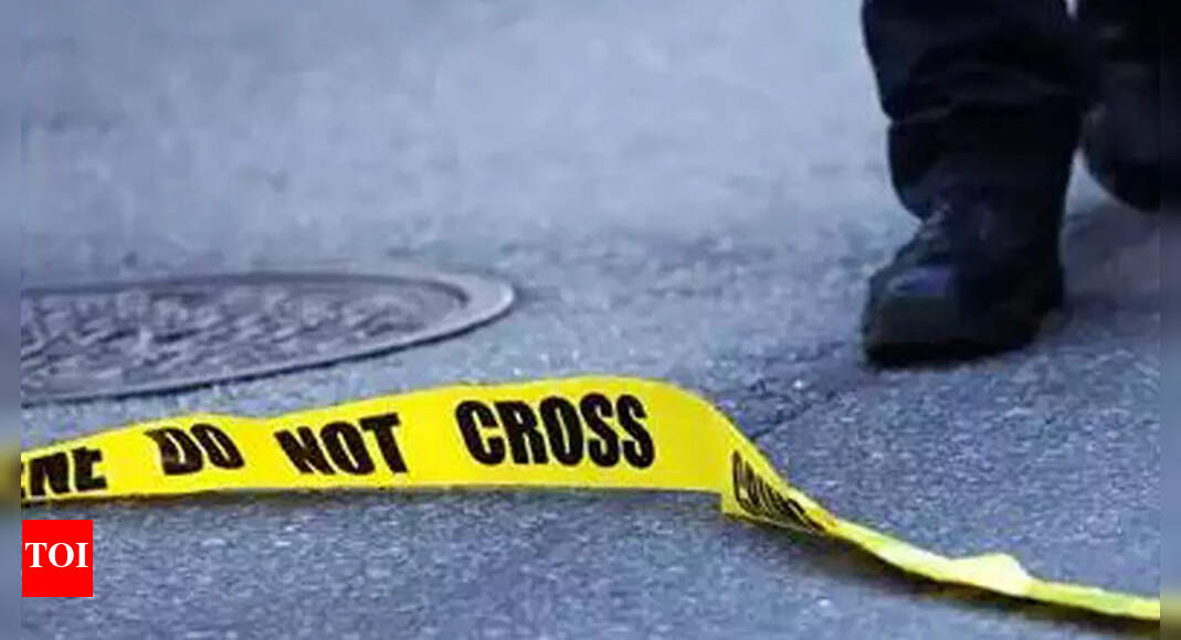 Indian-origin man shot dead during armed robbery in US: Report - Times ...