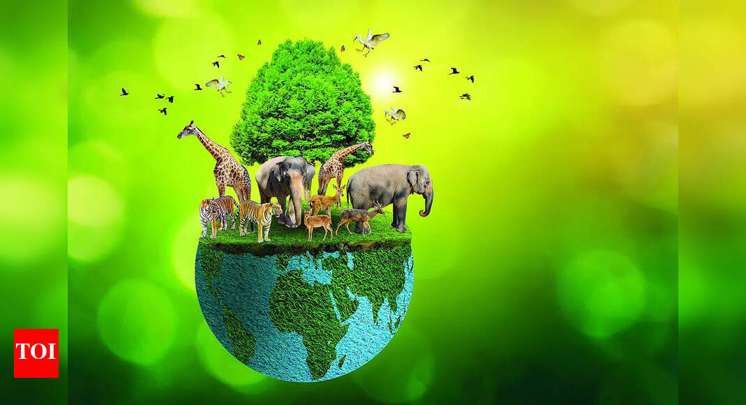 Love exotic pets? Here’s what you need to know - Times of India