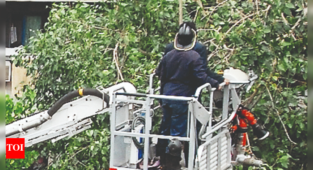 Makar Sankranti: Fire Brigade Got 176 Calls Each In 2021 & 2022 To ...