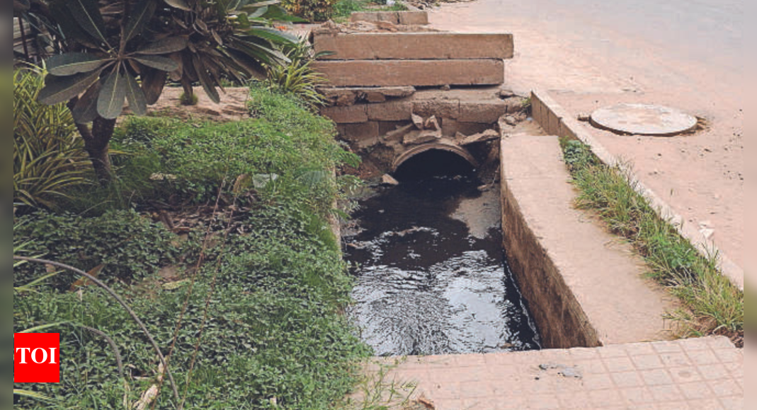 Bengalureans to Palike: Focus on roads, footpaths and drains ...