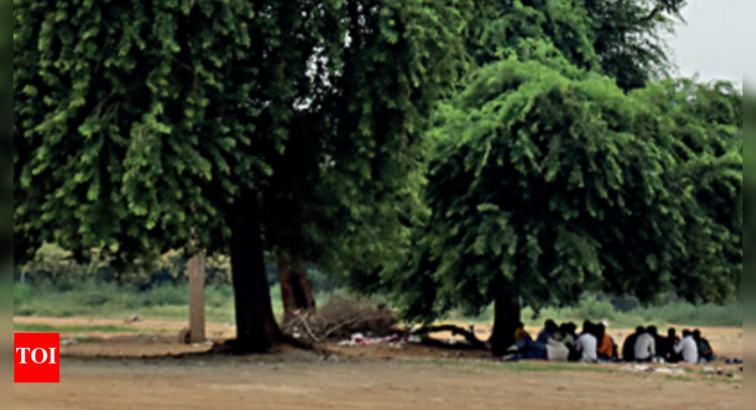 State’s 1st Tree Census To Be Complete In 15 Days, Mapping To Start By ...