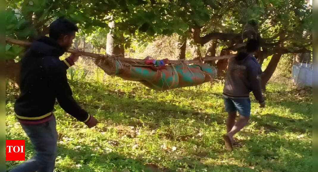 In Andhra Pradesh, lack of roads forces tribals to carry body in 'doli ...