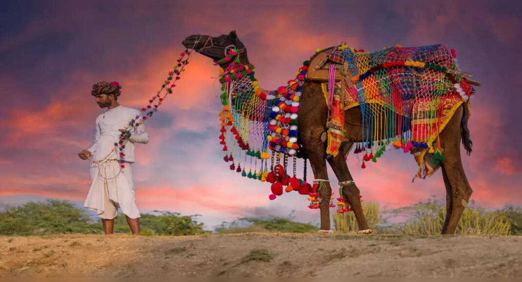 Most beautiful photos of Rajasthan on internet | Times of India Travel