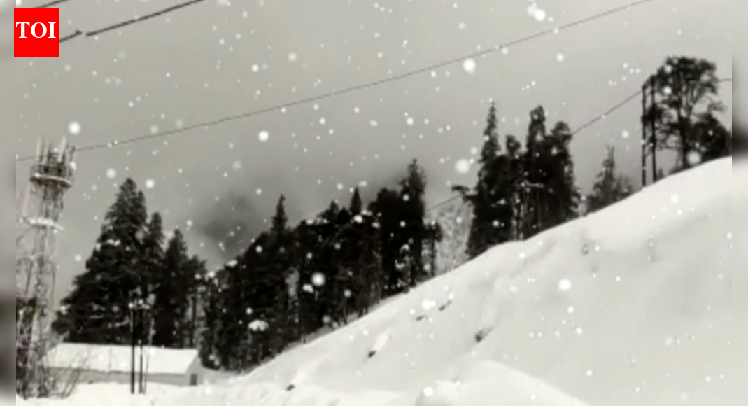 HP: Fresh snowfall turns Rohtang Pass into winter wonderland