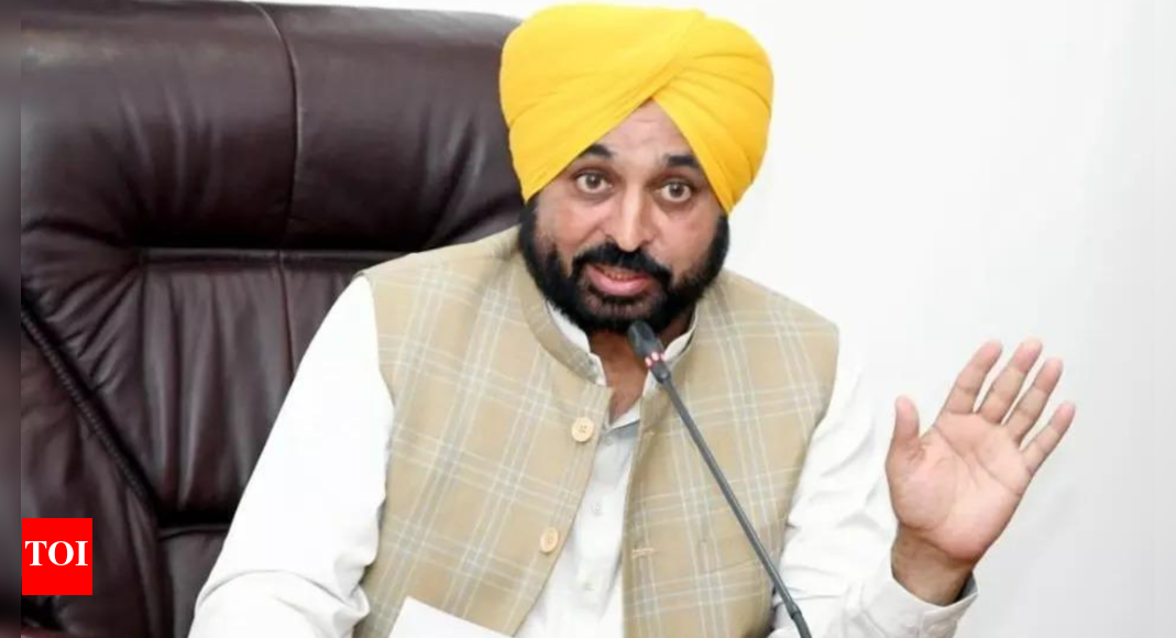 CM Bhagwant Mann criticizes Centre for rejecting Punjab’s tableau for Republic Day parade ...