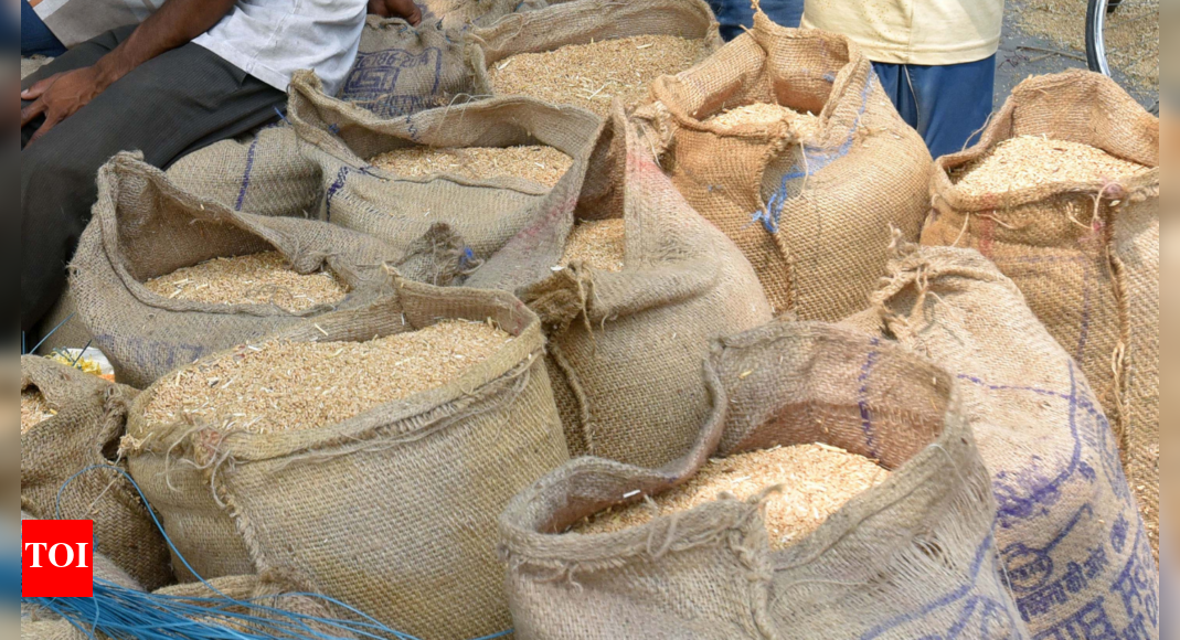 Prices of wheat, atta touch 10-year high, govt steps in - Times of India