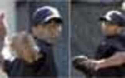 Disney making film about Indian baseball talents - Times of India