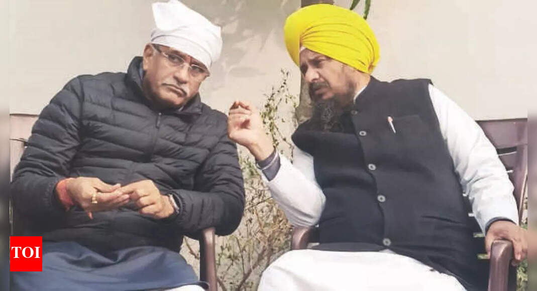 Min Fills Release ‘bandi Singhs’ Form | Chandigarh News - Times of India