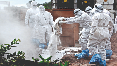 Covid: Govt Relaxes Protocol For Handling Dead Bodies ...