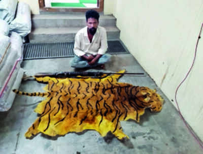 Man Held With ‘tiger Skin’, Rifle | Trichy News - Times of India