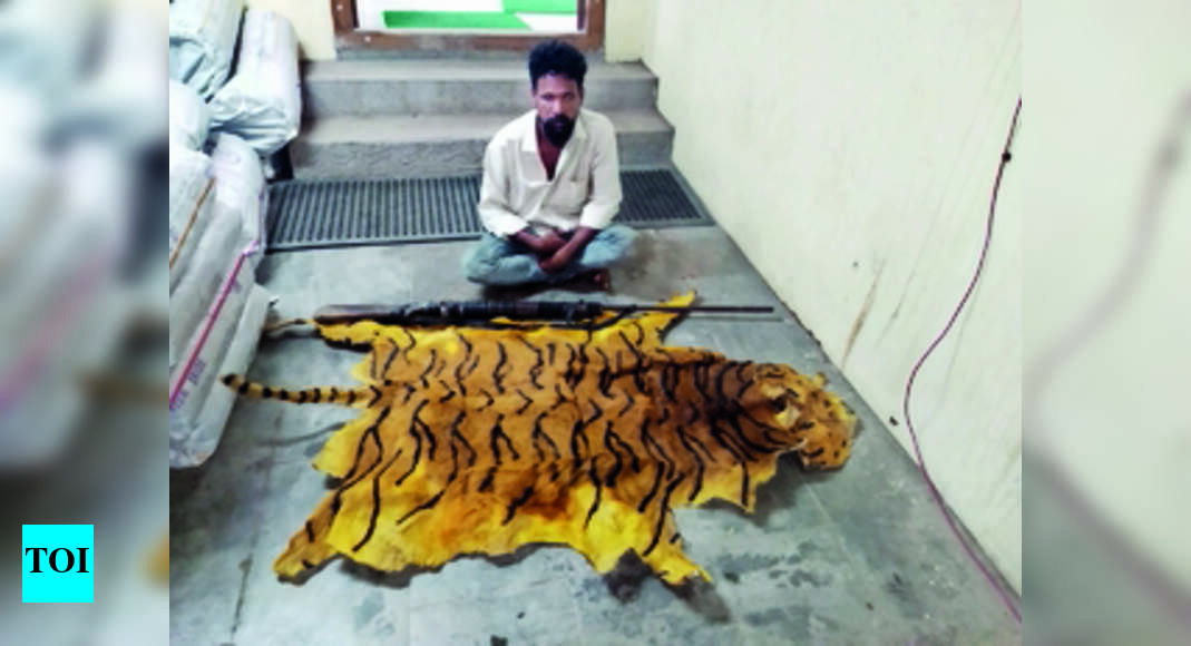 Man Held With ‘tiger Skin’, Rifle | Trichy News - Times of India