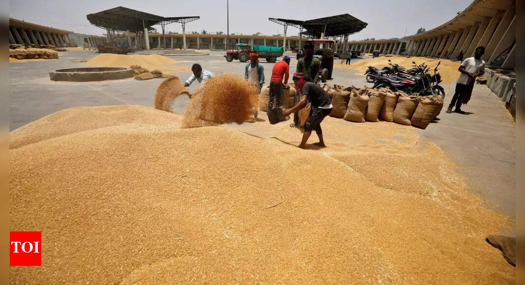 Wholesale wheat prices fall by 10% as govt steps in - Times of India