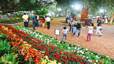 Roses, 'grow bags' dazzle all at flower show in Pune | Pune News ...