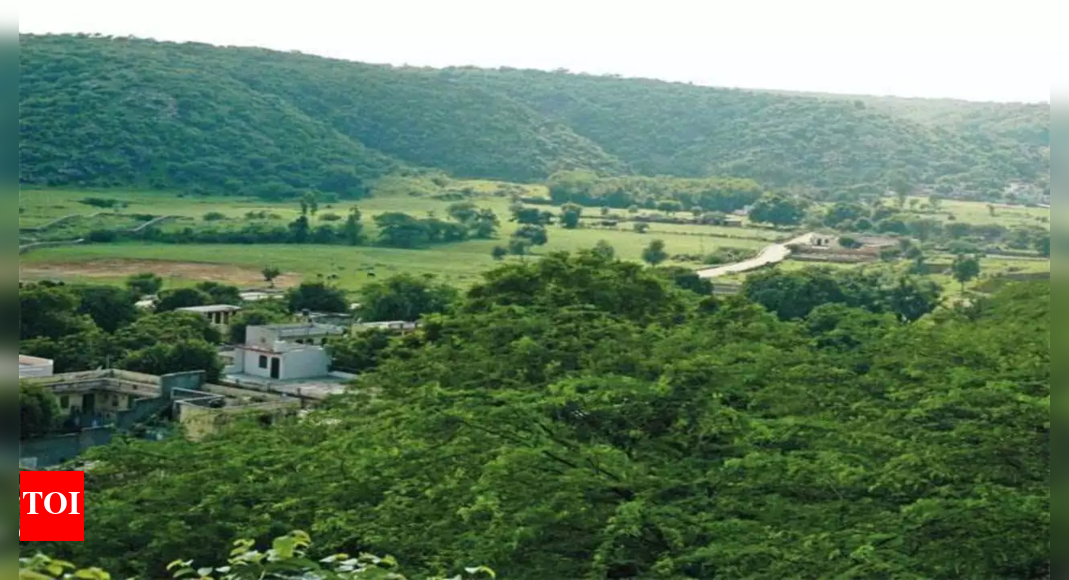 Two Researchers To Study Aravali ‘wildlife Corridor’ Over Three Years ...