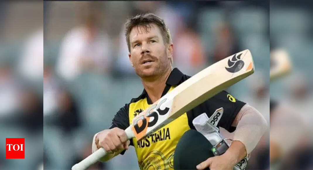 David Warner in 'Pathaan'? Check out this video of Aussie cricketer to ...