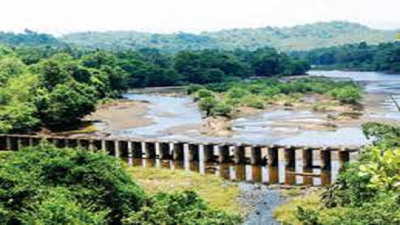 ‘Goa must be firm and not compromise over Mhadei’ | Goa News - Times of ...