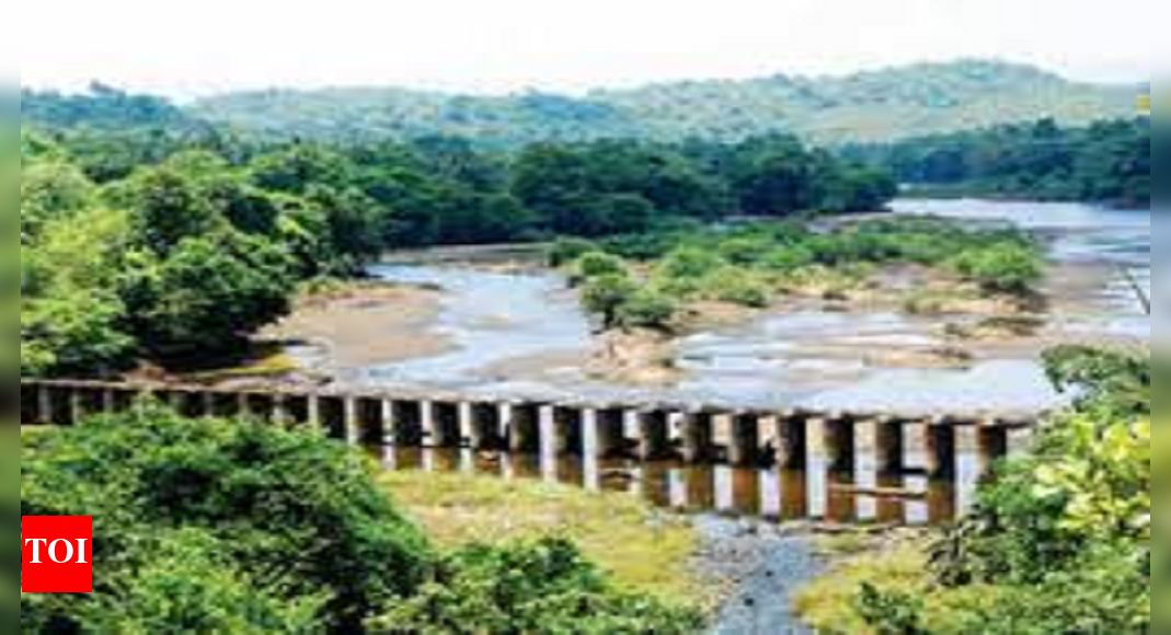 ‘Goa must be firm and not compromise over Mhadei’ | Goa News - Times of ...