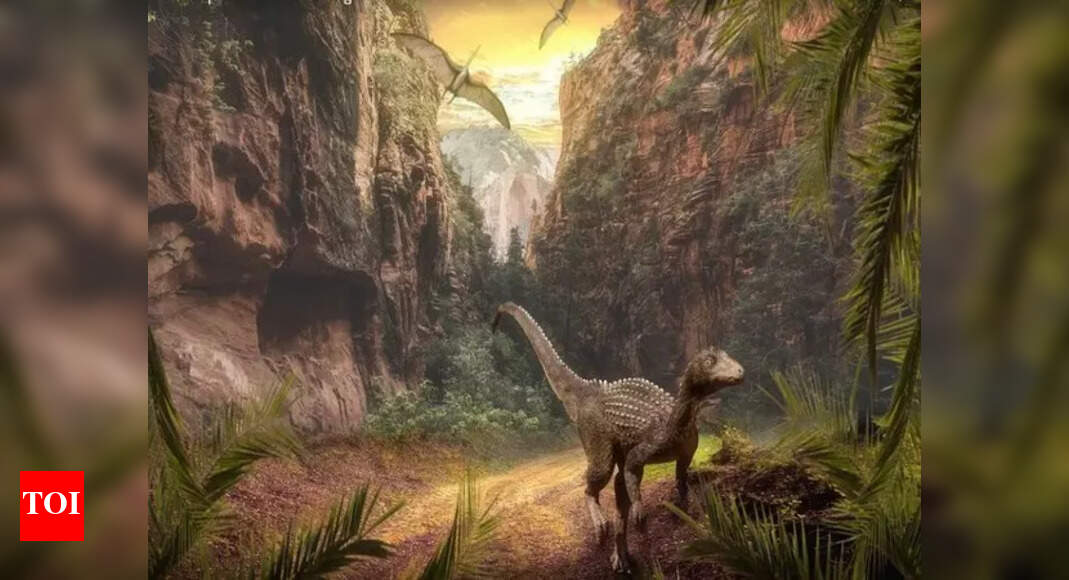 Paleontologists discover 1st 'unmistakable' caecilian fossils of ...