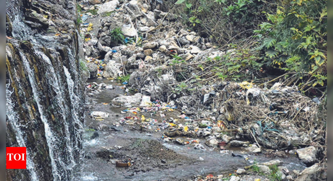 Uttarakhand: Purkul fast turning into a garbage dump | Dehradun News ...