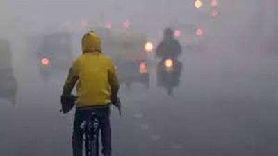 Residents Wake Up To Cold, Wet Sunday | Chandigarh News - Times of India