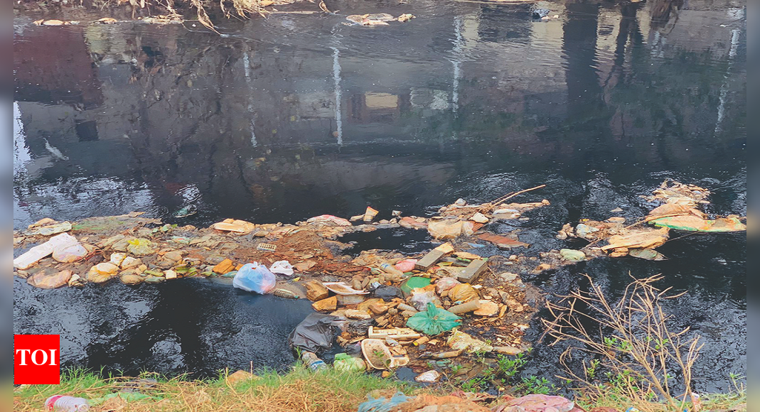 Buddha Nullah: Black Water Still Entering Buddha Nullah; Activists ...