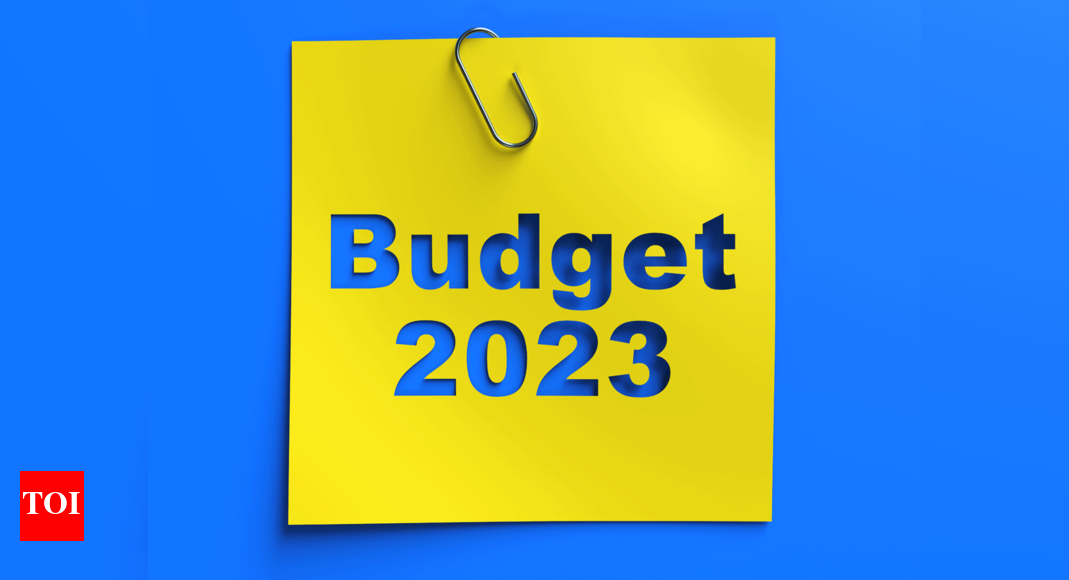 Union Budget 2023: Corporates believe digitisation has eased tax ...