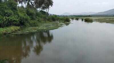 Nanda Lake to take centrestage as ‘Save Wetlands’ campaign launches on ...