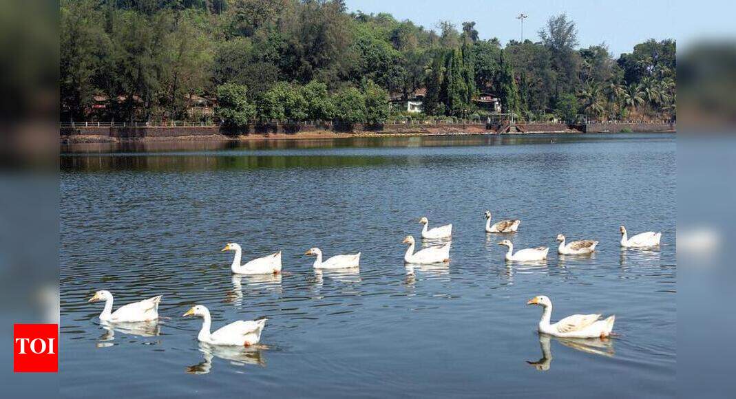 Soon, lake mgmt panels for every wetland in state | Goa News - Times of ...