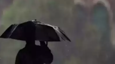 India's January rain hits 5-year low, can impact rabi crops: Experts ...