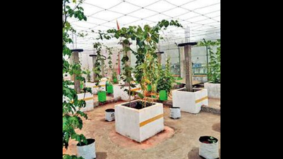 Techie: Techie Takes To Dragon Fruit Cultivation, Inspires Others ...