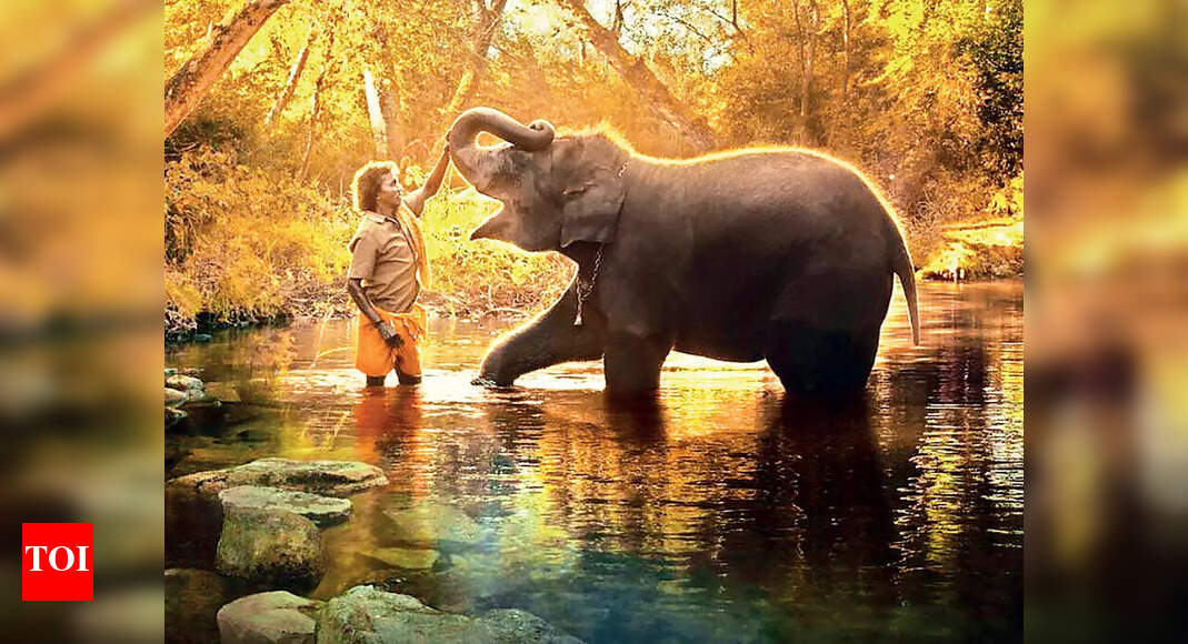 Indian documentaries shine globally, but support at home elusive ...