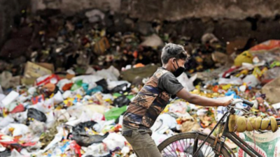 Municipal Corporation of Delhi targets 3-star rating in garbage-free ...